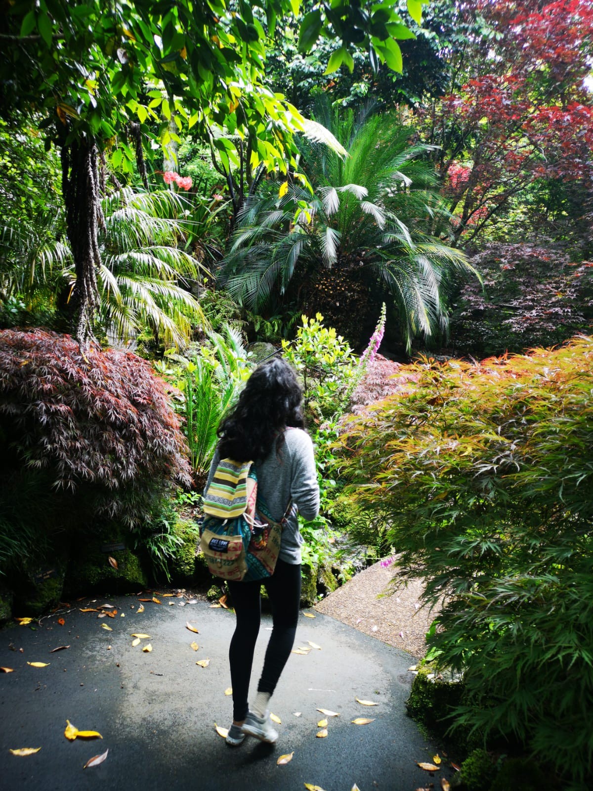 My Story – Up From The Well